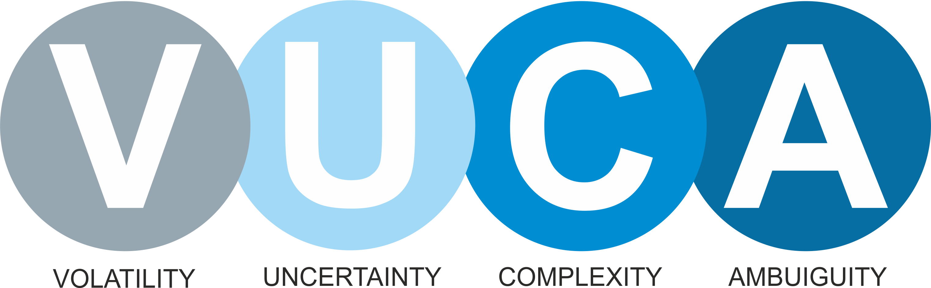 Unternehmens-Führung in der VUCA-Welt | Sascha Weißenrieder